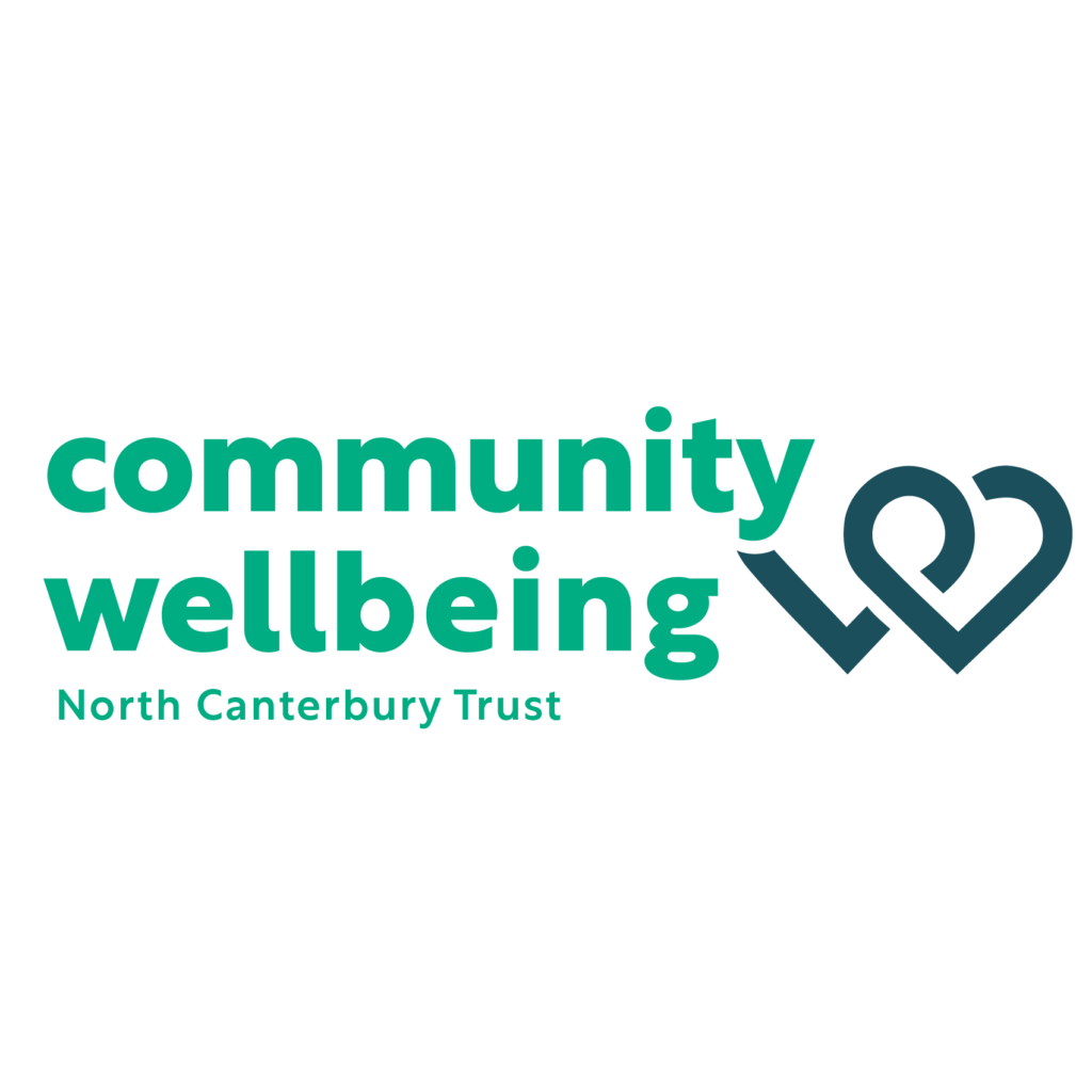 Te Taha Hinengaro Mental & Emotional – Next Steps