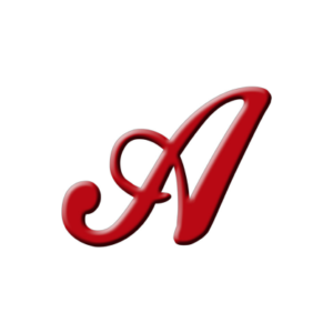 Te Taha Tinana Physical – Next Steps