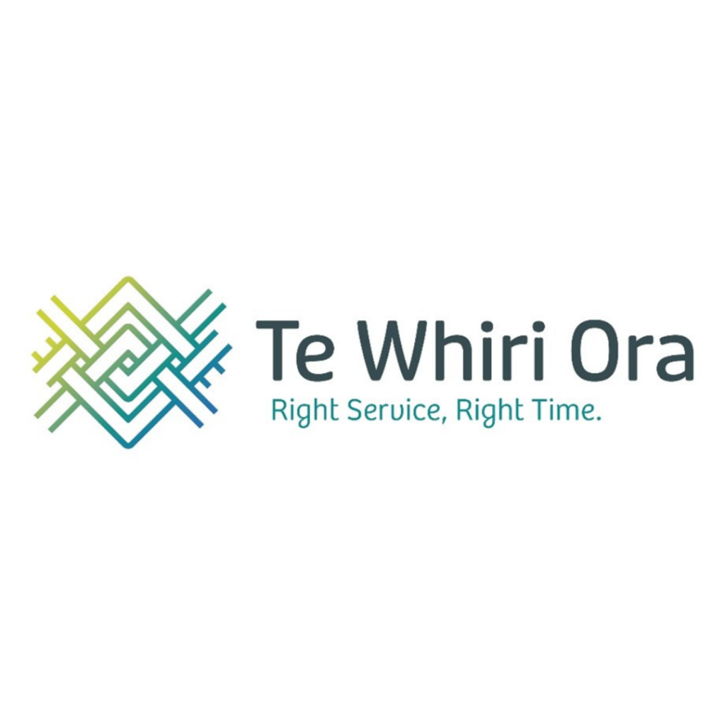Te Whiri Ora Right Service Right Time – Next Steps